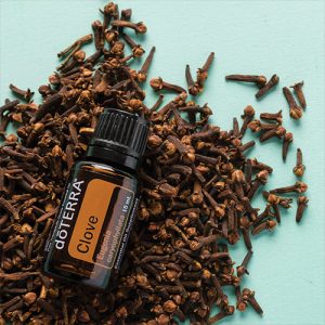 Essential Oils for Insect Repellents